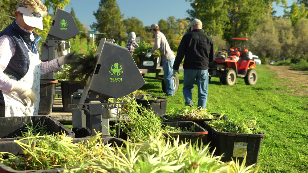 Munch Machine - Harvesting & Bucking Equipment